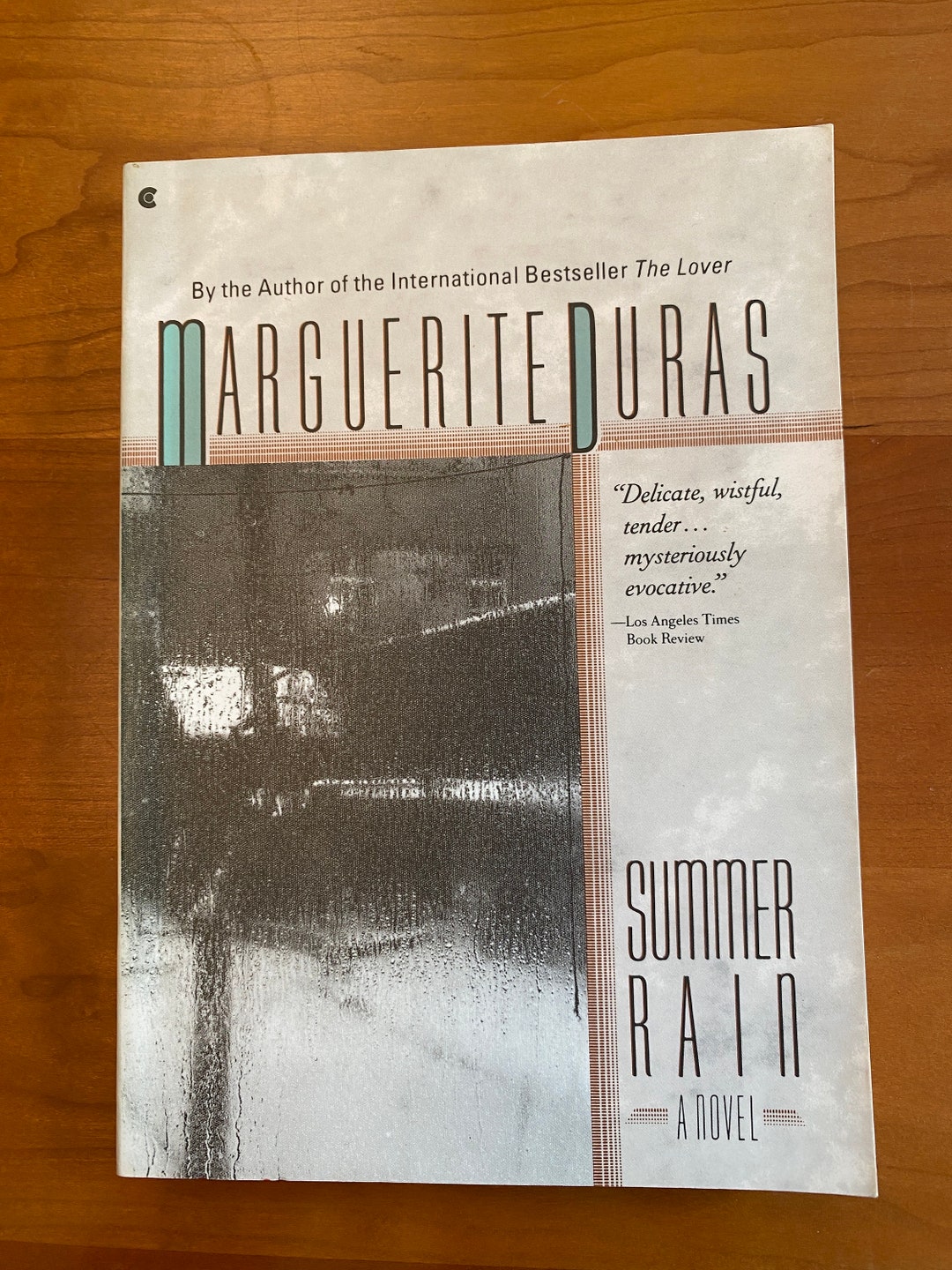 Summer Rain by Marguerite Duras - Collier Books 1993 - Etsy