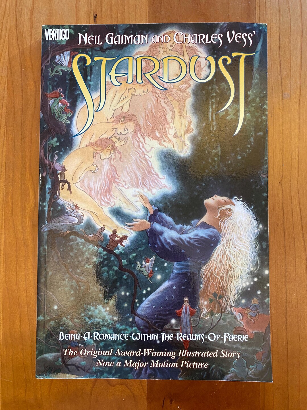 Stardust by Neil Gaiman and Charles Vess - 1999 Graphic Novel - Etsy