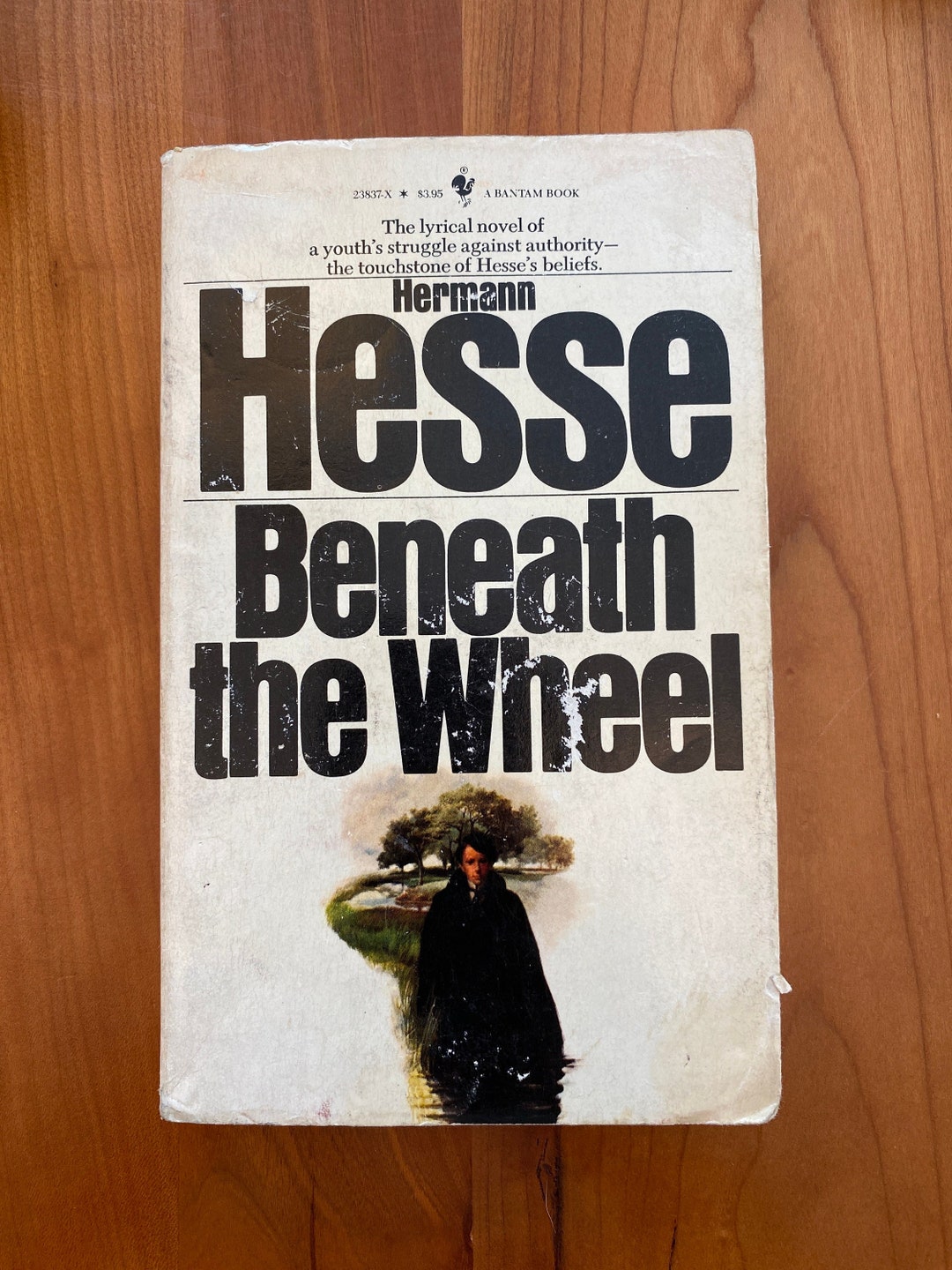 Beneath the Wheel by Hermann Hesse - 1981 Bantam Paperback - Etsy