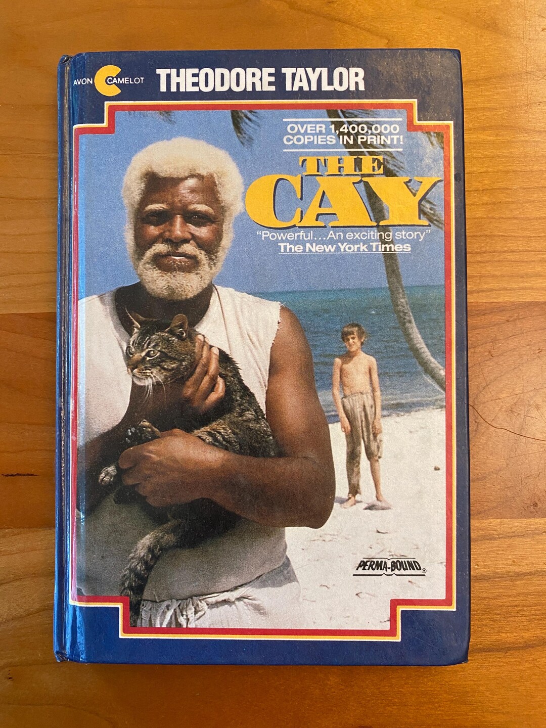 The Cay by Theodore Taylor - Avon Library Binding - 1970 - Etsy