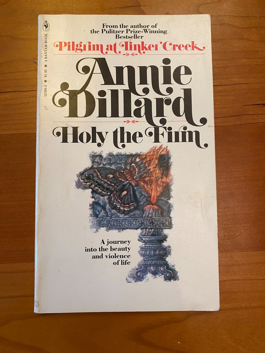 Holy the Firm by Annie Dillard - 1979 Bantam Paperback - Etsy