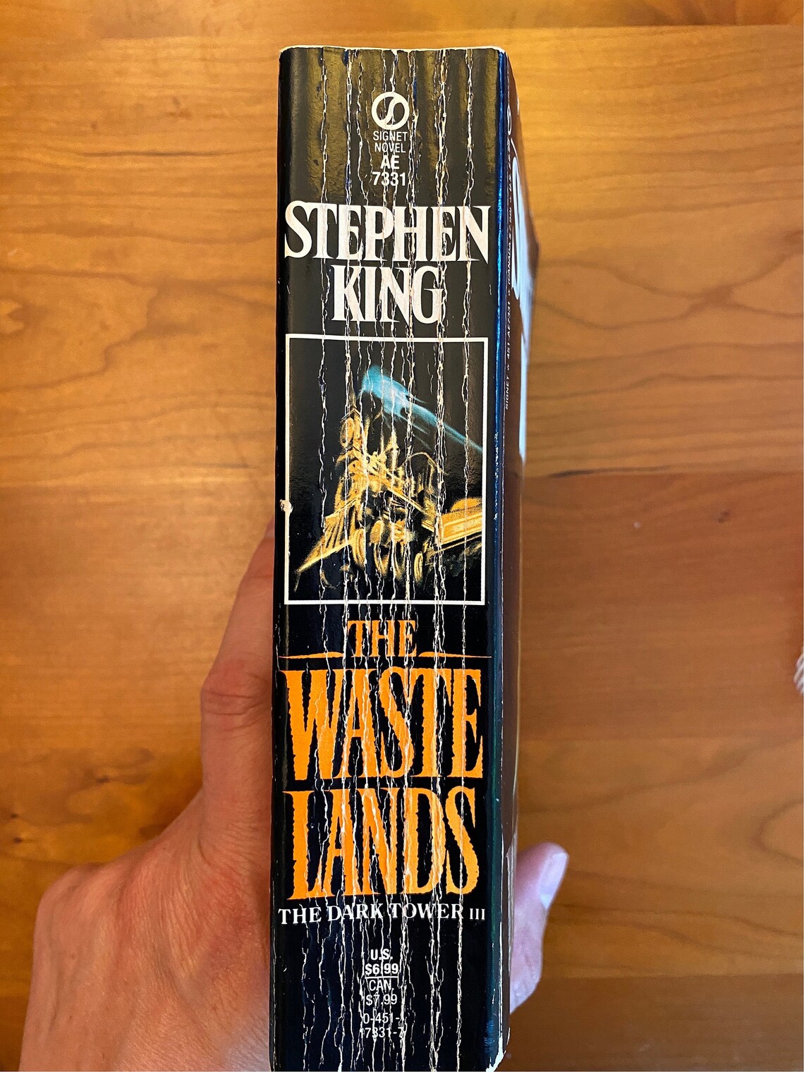 The Dark Tower - the Wastelands by Stephen King - 1993 Signet - Etsy