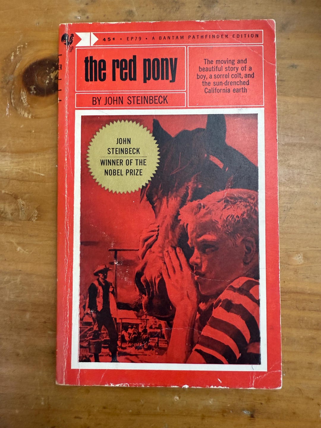 The Red Pony by John Steinbeck - 1963 Bantam - Etsy