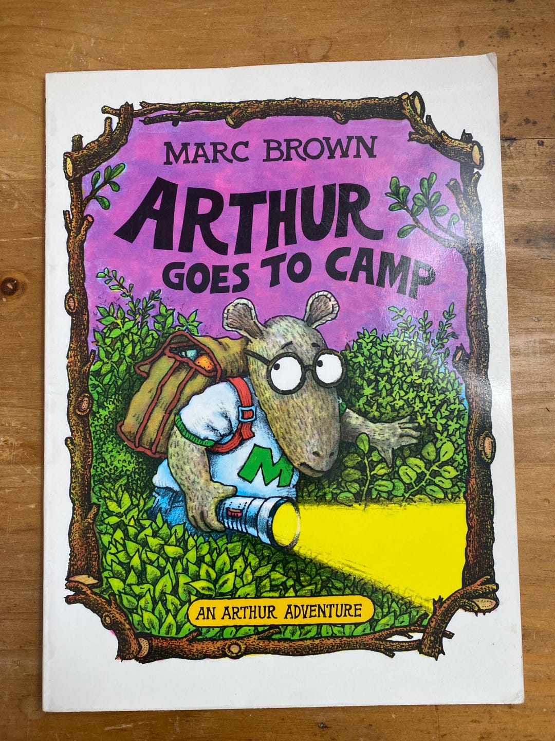 Arthur Goes to Camp by Marc Brown - Joy Street Books 1982 - PBS Kids - Etsy