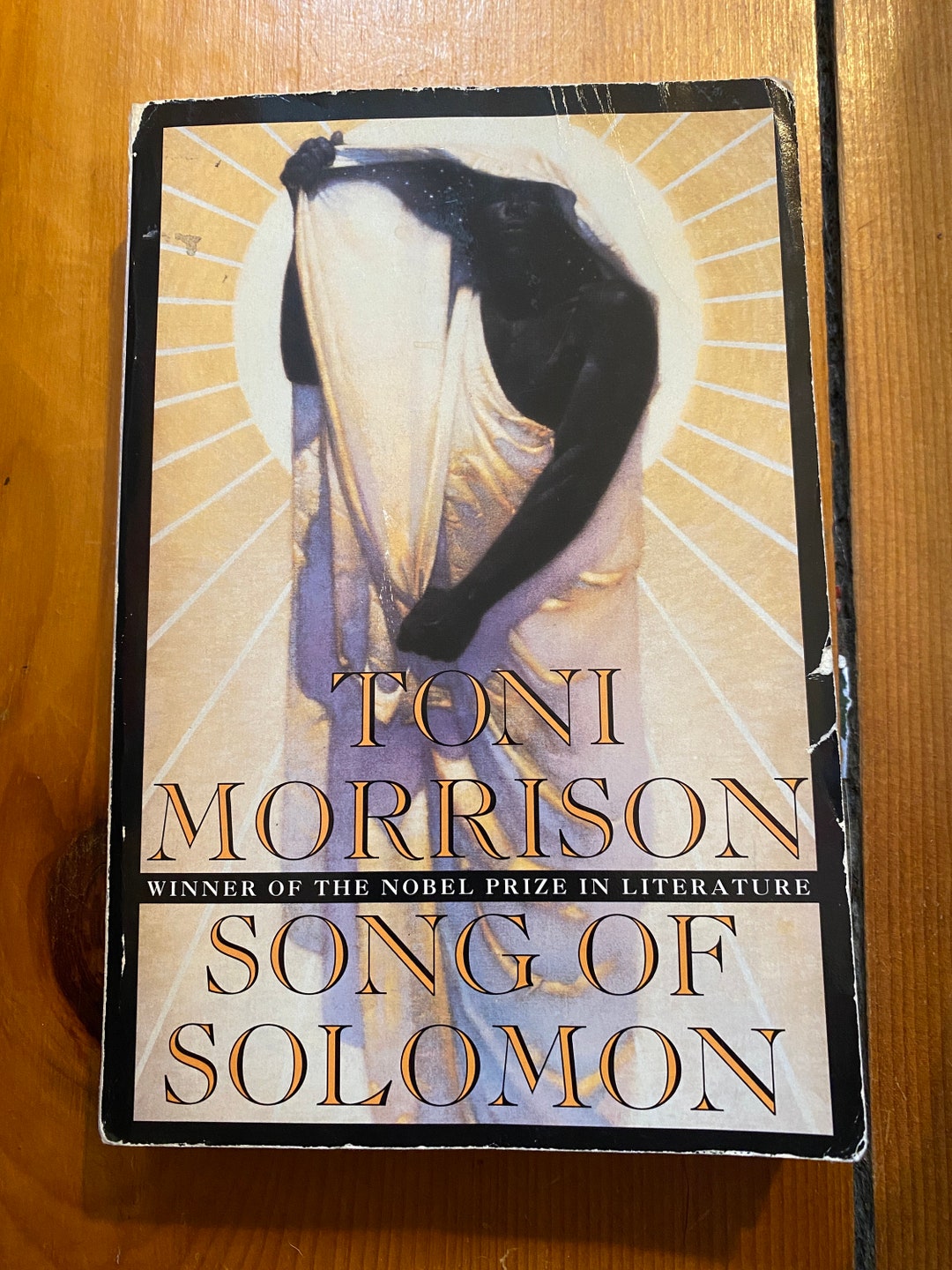 Song of Solomon by Toni Morrison - 1987 Plume Paperback - Etsy