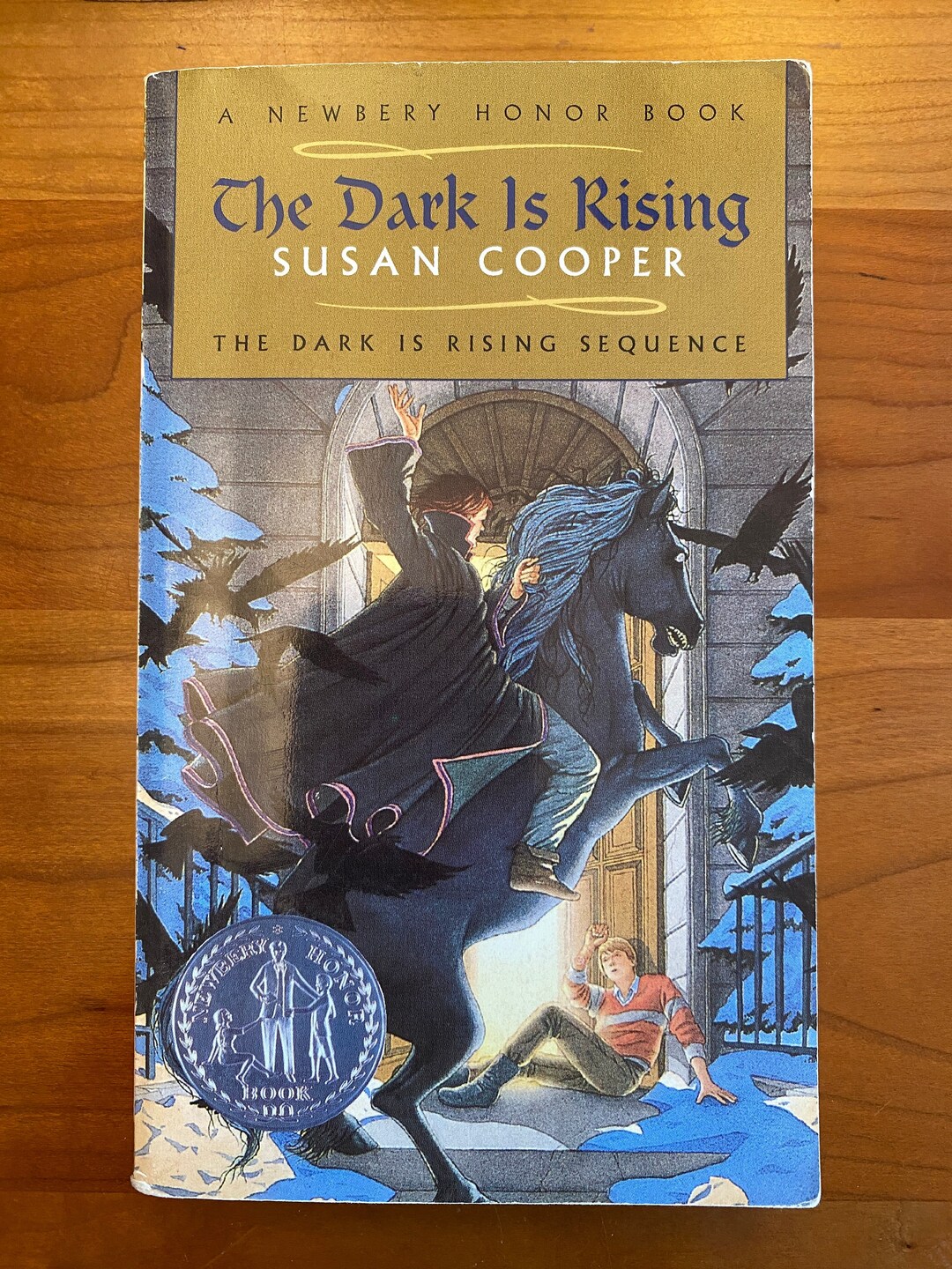 The Dark is Rising by Susan Cooper 1980s Simon & Schuster Newbery Award ...