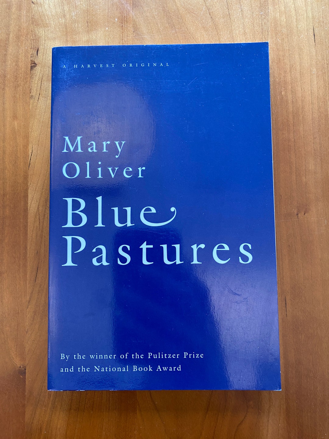 Blue Pastures by Mary Oliver - Harcourt Brace - 1995 First Edition - Etsy