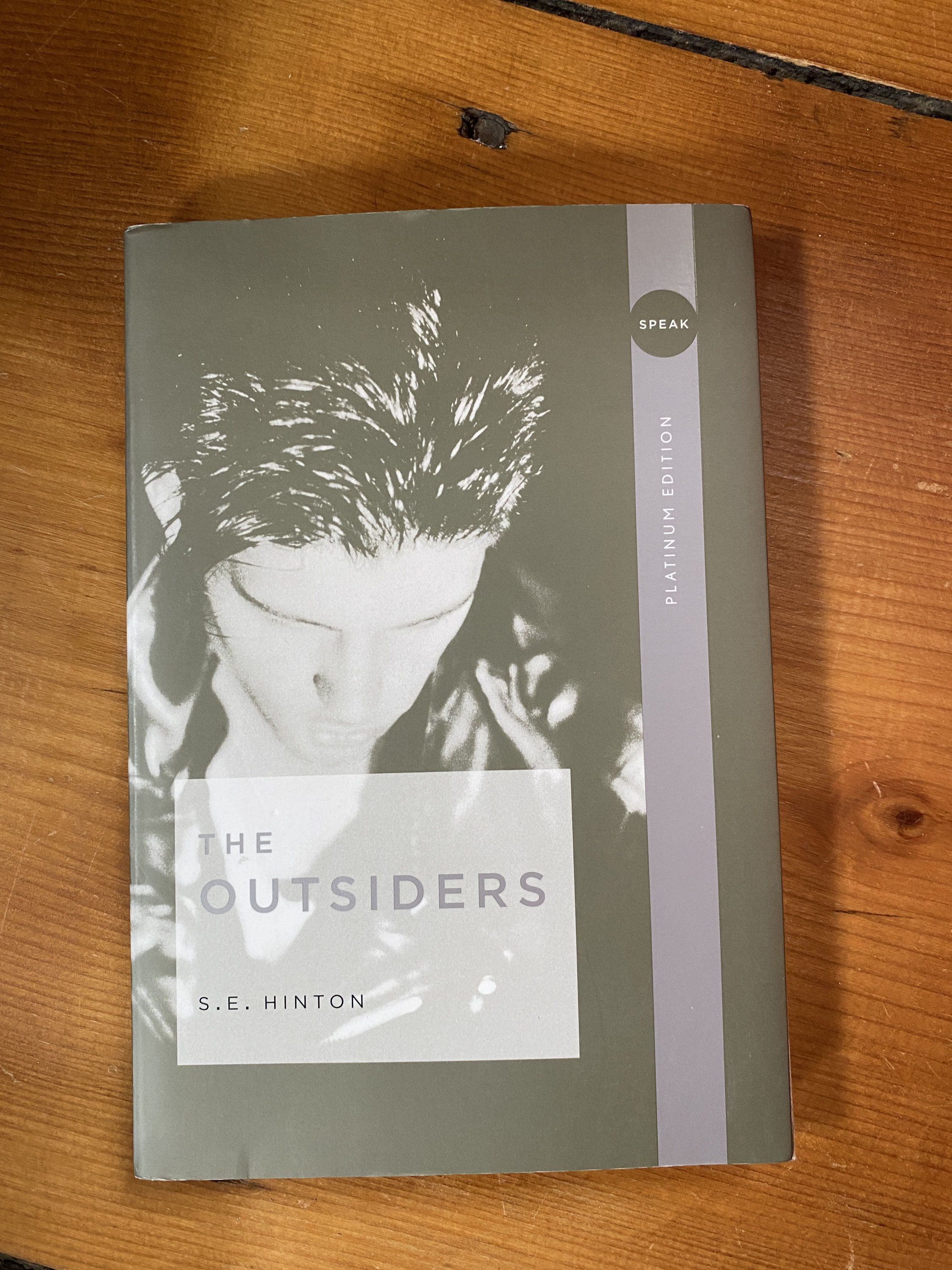 The Outsiders Book Platinum Edition