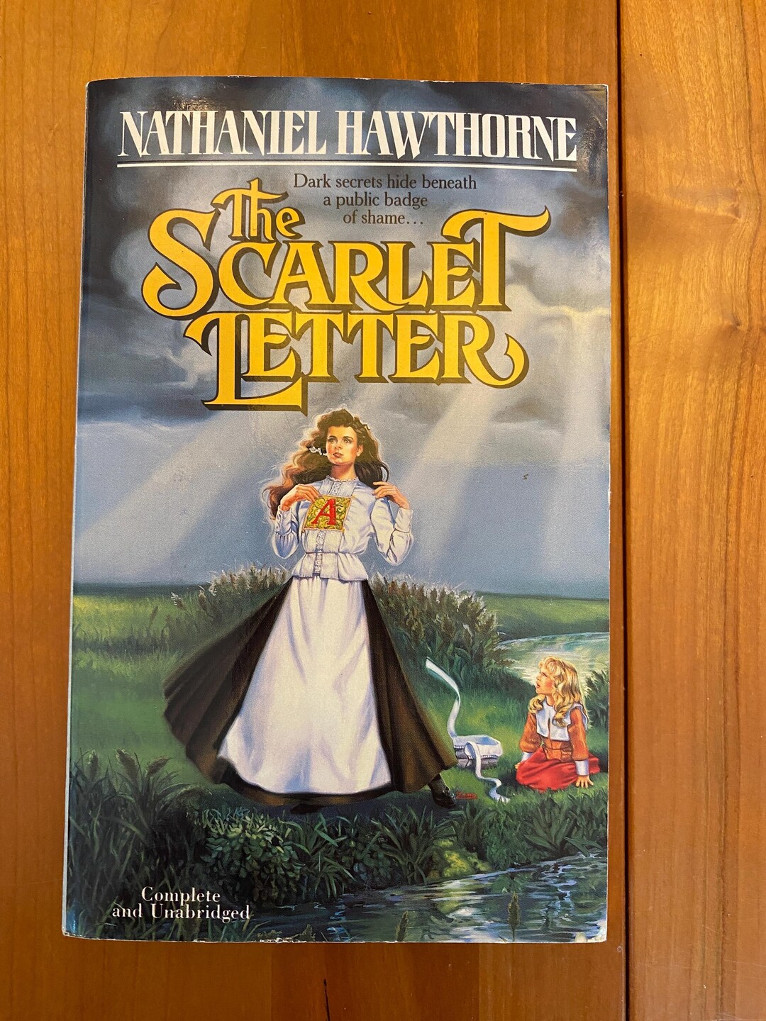 The Scarlet Letter by Nathaniel Hawthorne - TOR Classic 1989 - Etsy
