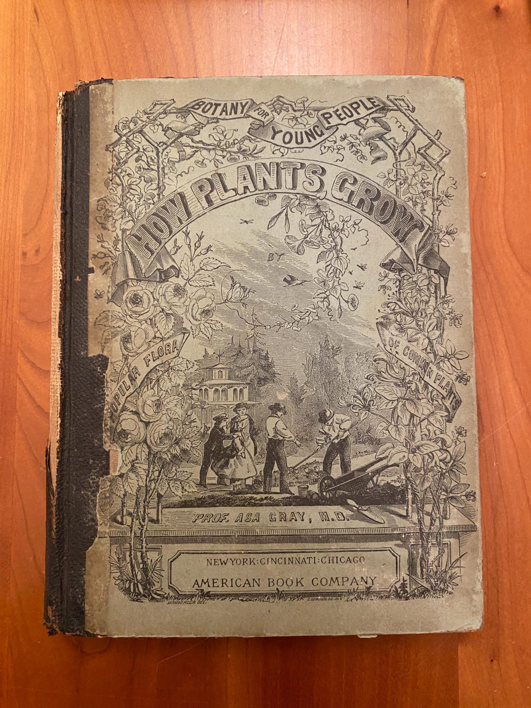 Botany for Young People - How Plants Grow by Asa Gray - 1858 ...