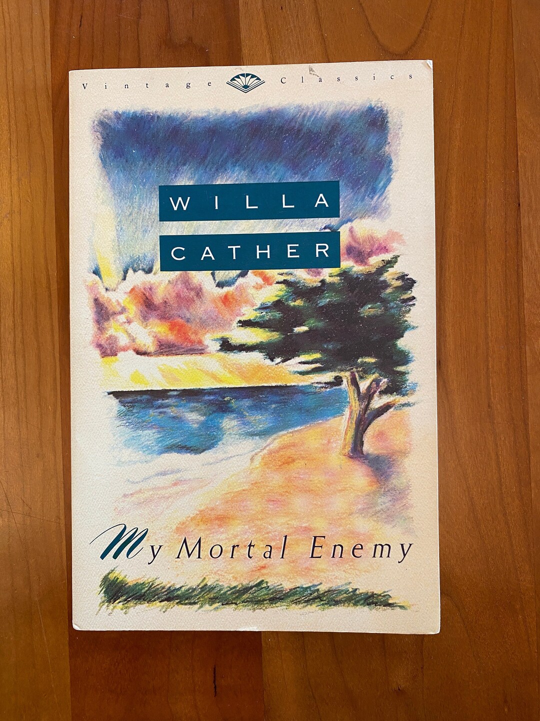 My Mortal Enemy by Willa Cather - 1990 Vintage International Classic - Etsy
