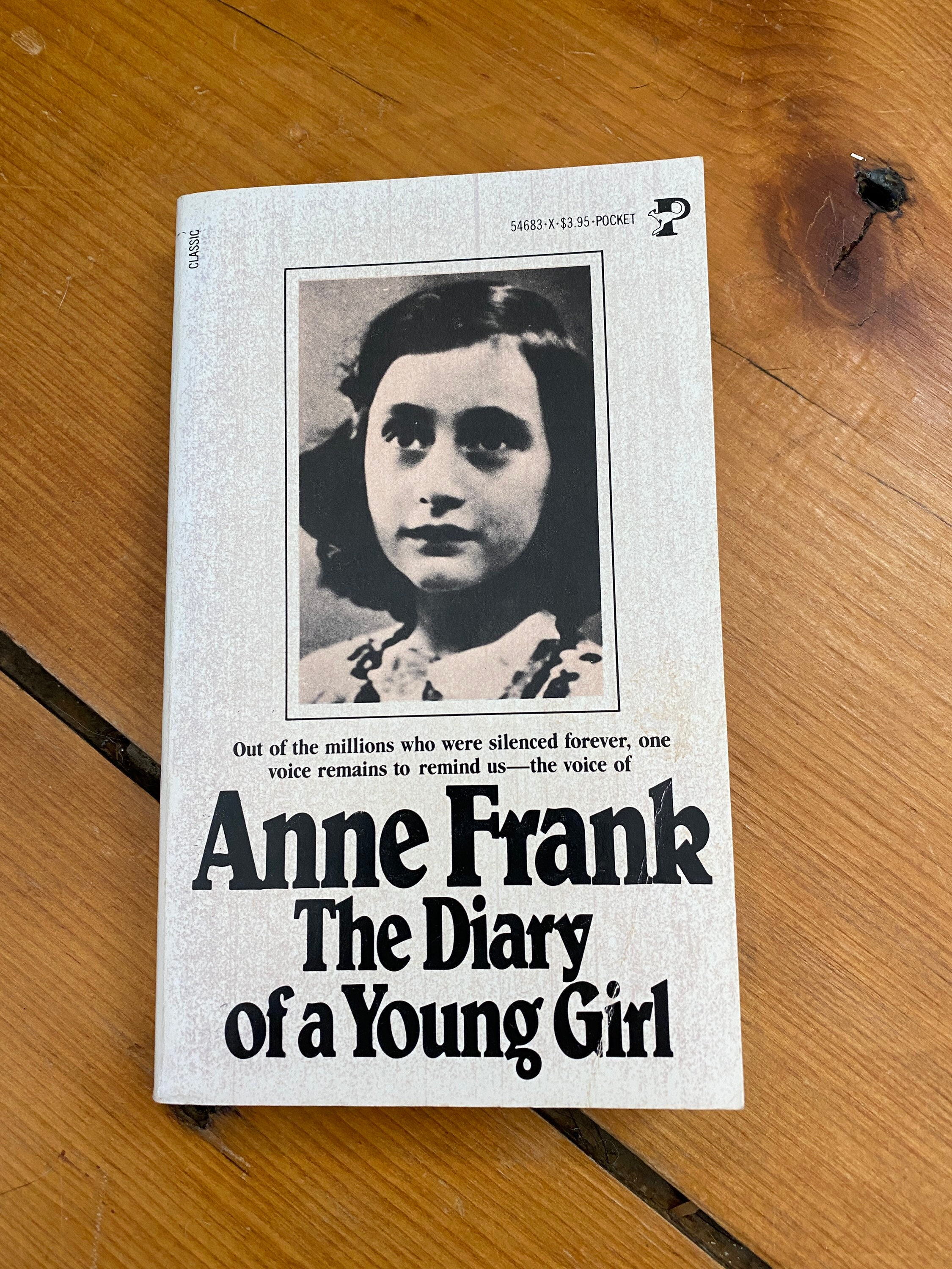 Anne Frank And Her Diary