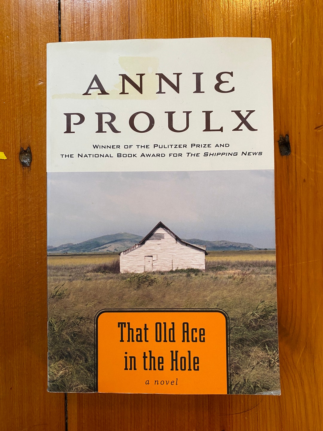 That Old Ace in the Hole by Annie Proulx - 2003 Scribner Paperback - Etsy