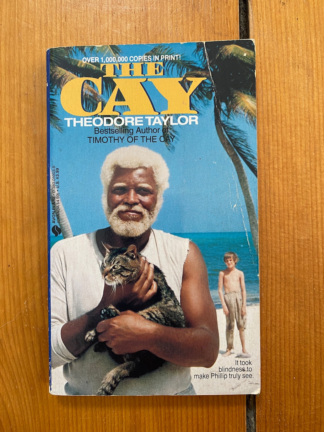 The Cay by Theodore Taylor - Avon Paperback - 1970 - Etsy