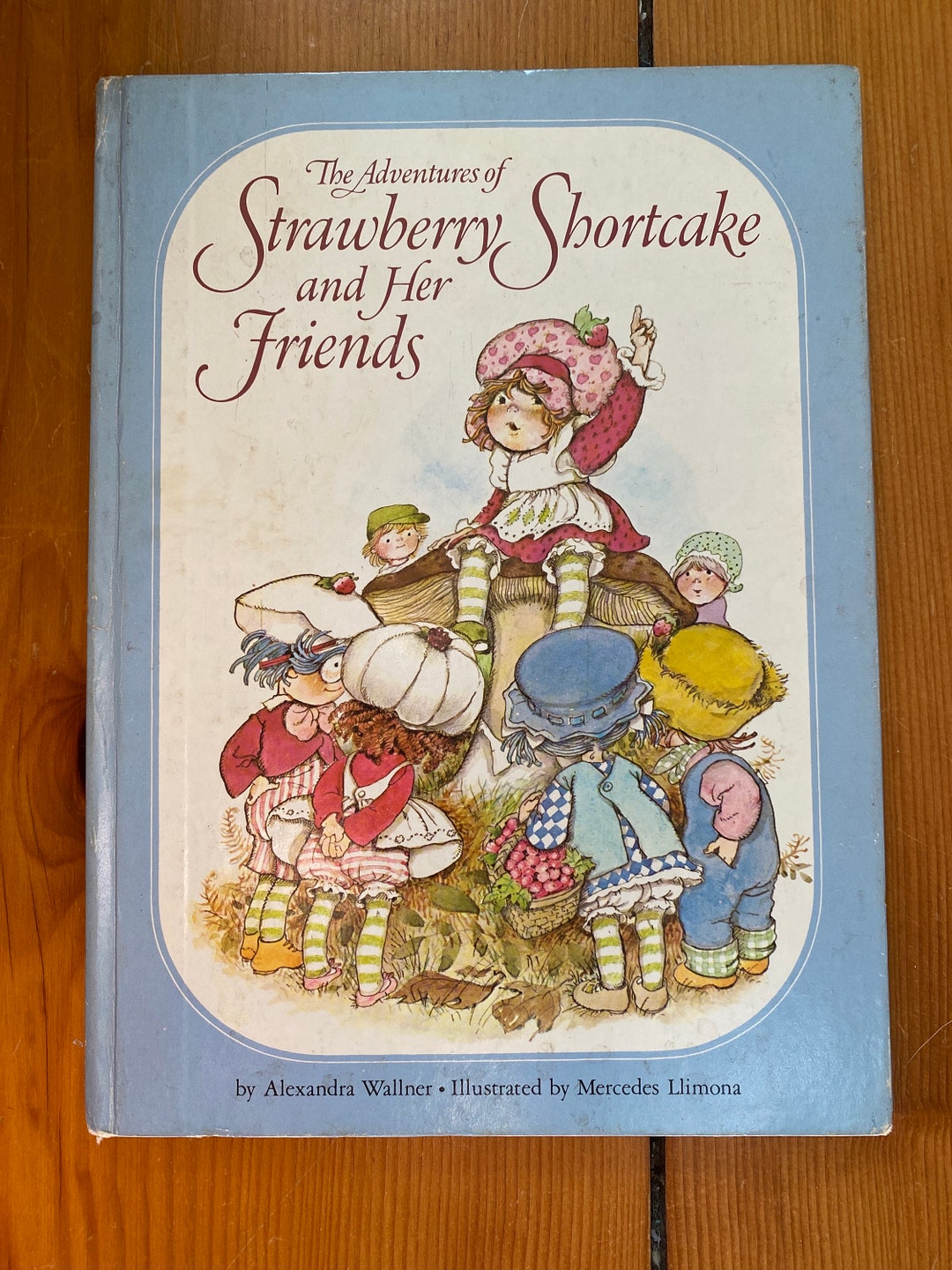The Adventures of Strawberry Shortcake and Her Friends by Alexandra ...