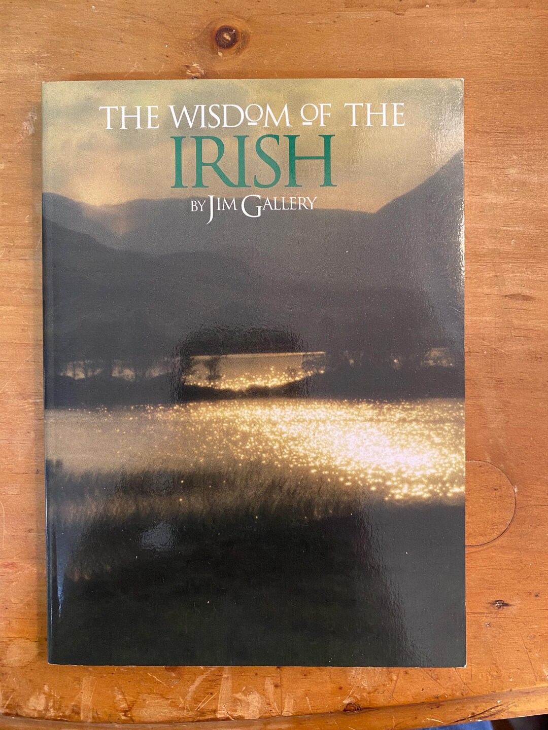 The Wisdom of the Irish by Jim Gallery - 1999 Walnut Grove Press - Etsy