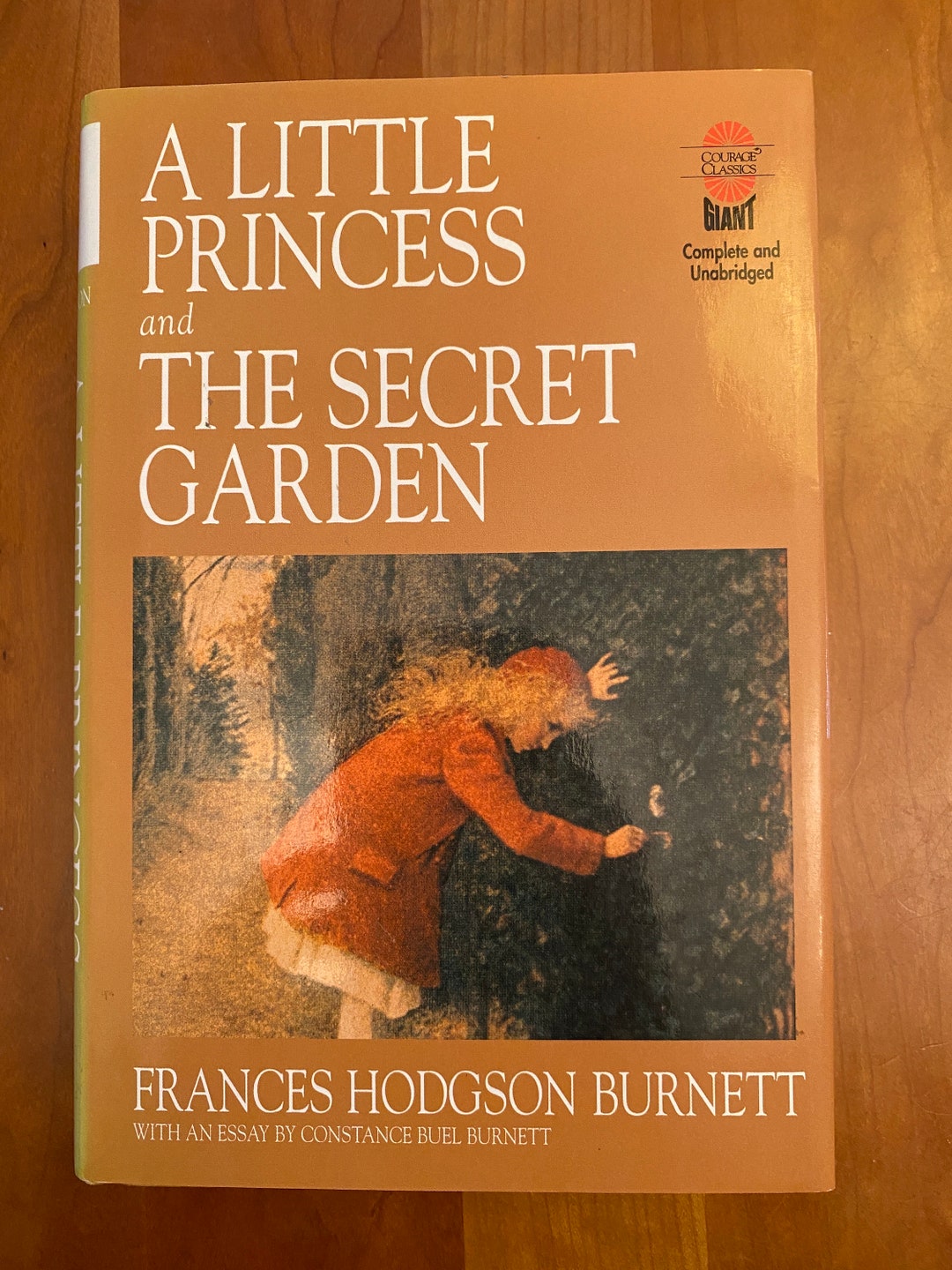 A Little Princess and the Secret Garden by Frances Hodgson Burnett ...