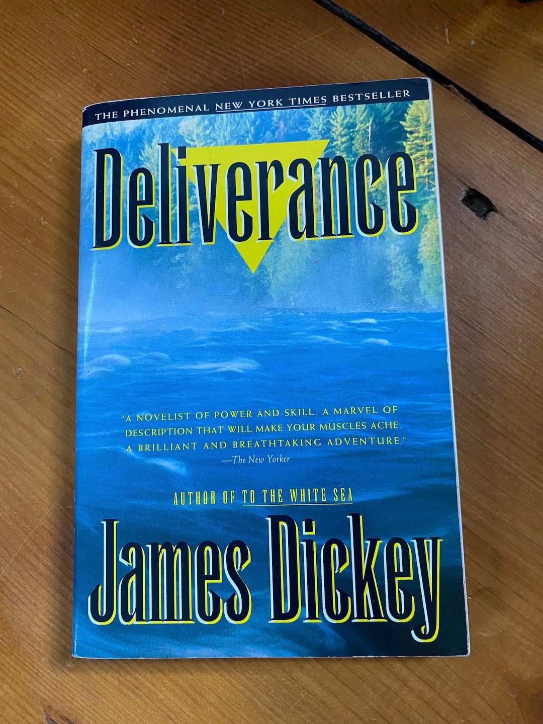 Deliverance by James Dickey - 1994 Delta Paperback - Etsy