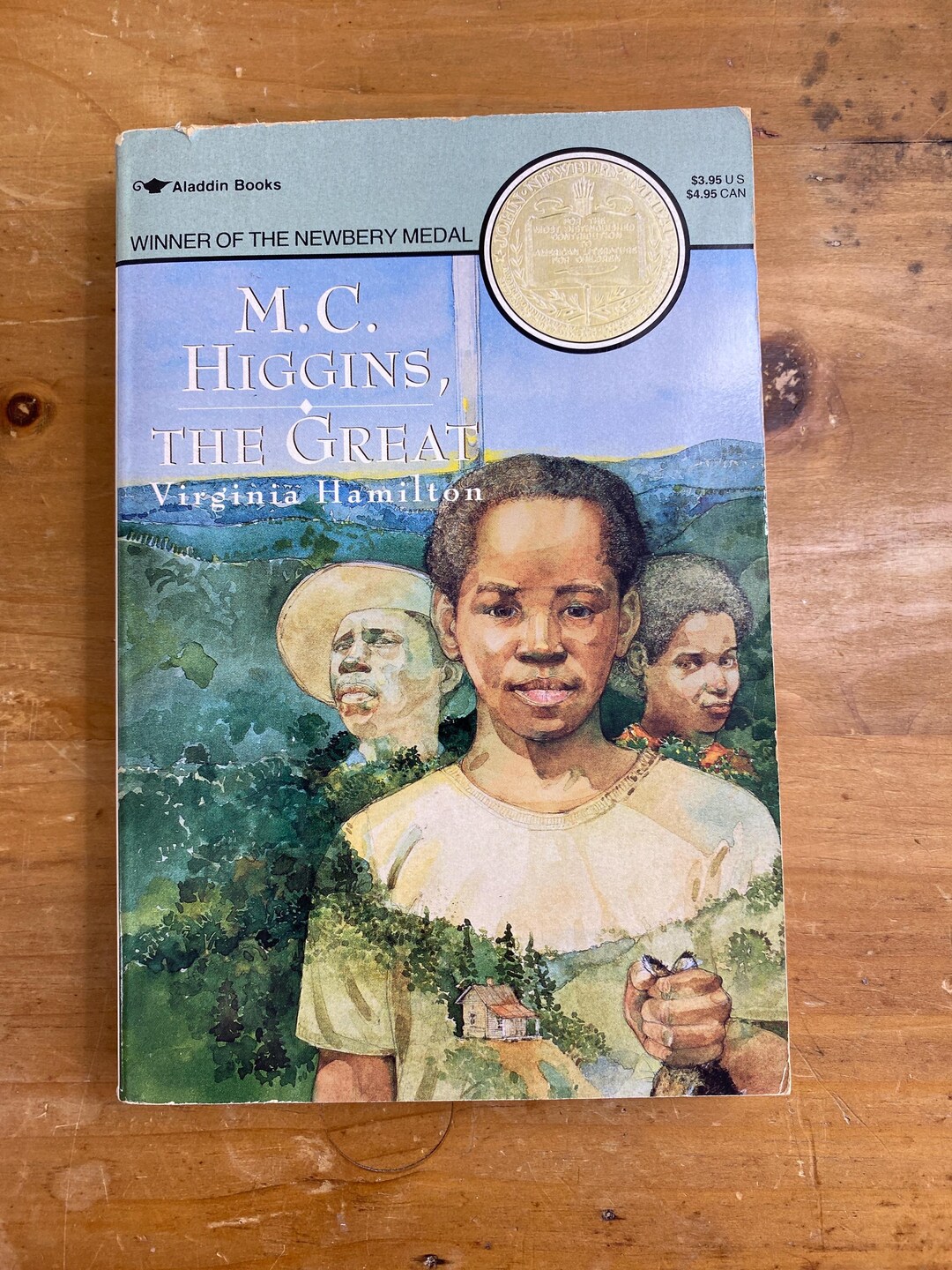 M.C. Higgins, the Great by Virginia Hamilton - Aladdin 1993 - Etsy