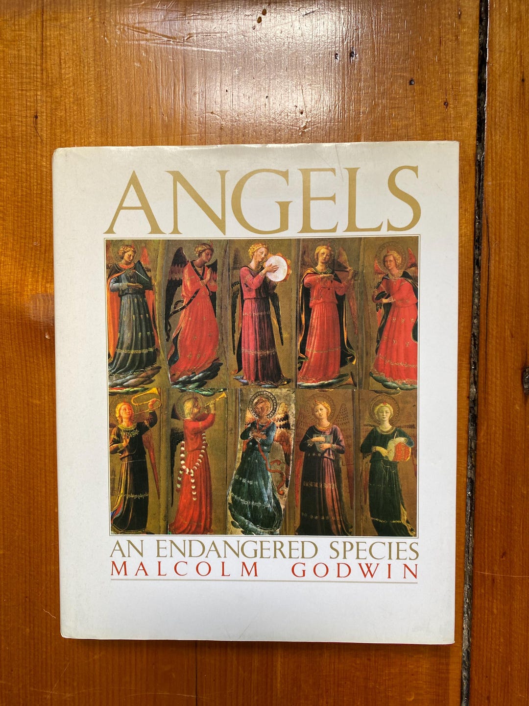 Angels - an Endangered Species by Malcolm Godwin - 1990 Simon ...