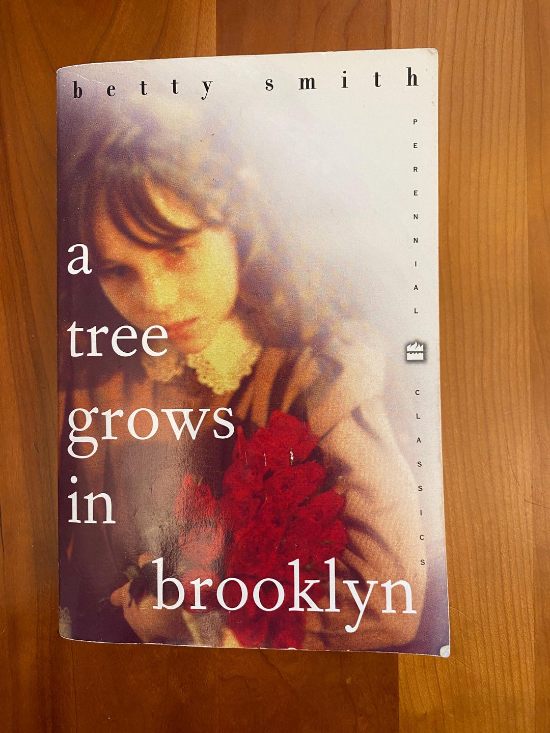 A Tree Grows in Brooklyn by Betty Smith - 1998 Harper Perennial - Etsy