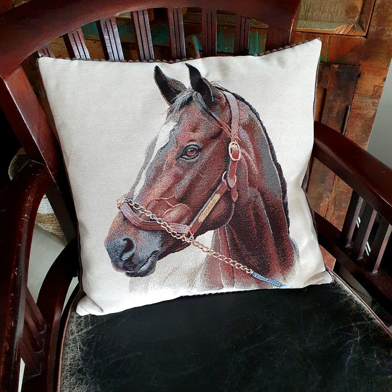 Kissen 50x 50 gobelin - Etsy.de