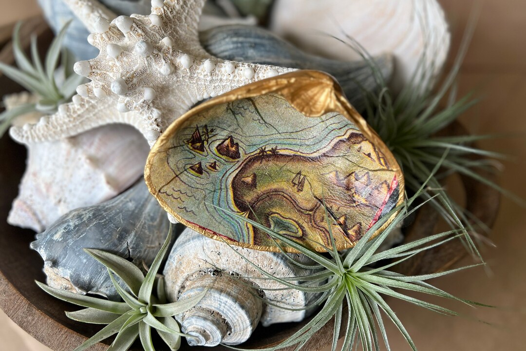 Decoupage Sea Shell, Pirates Map - Etsy