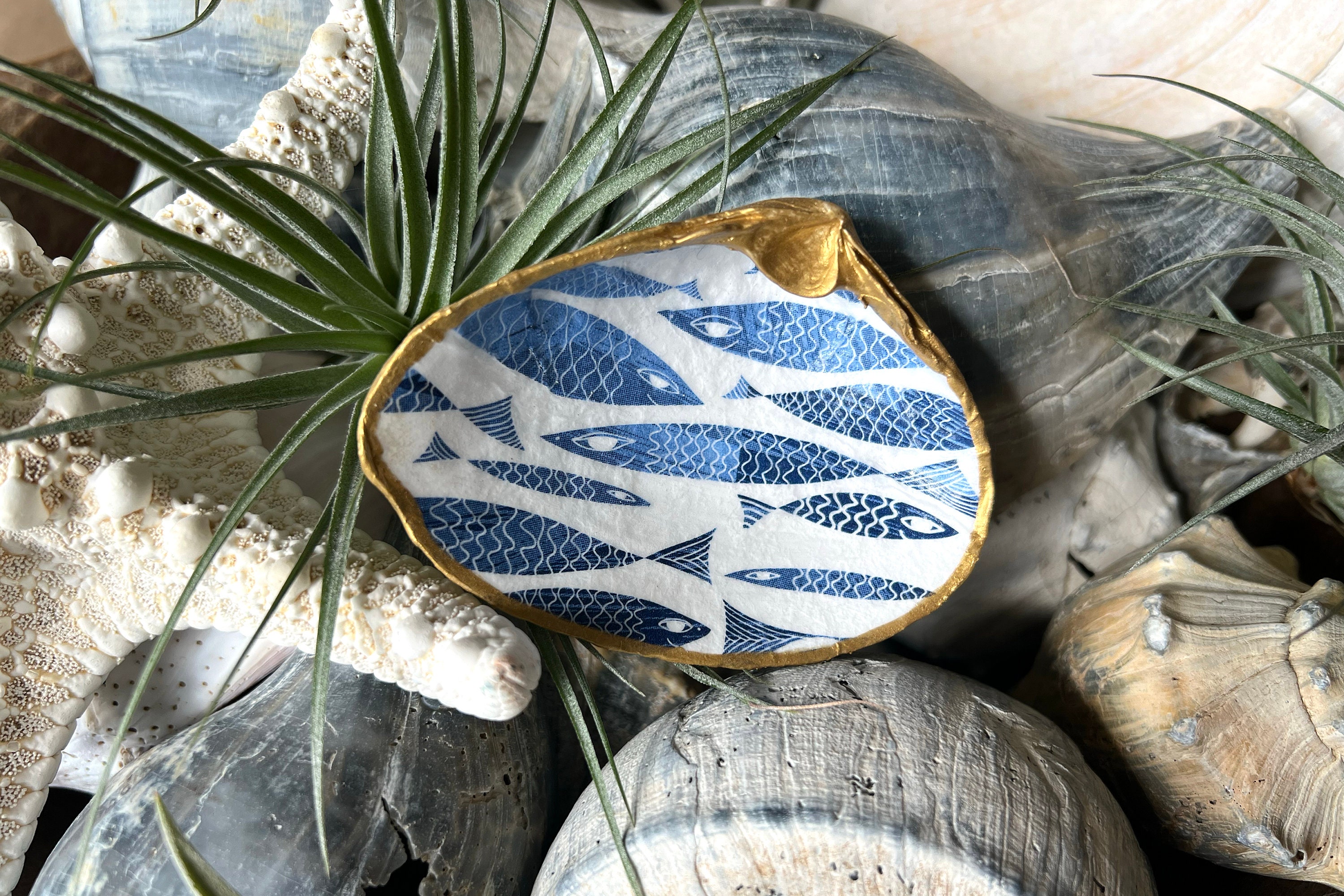 Decoupage Sea Shell Blue Fish - Etsy