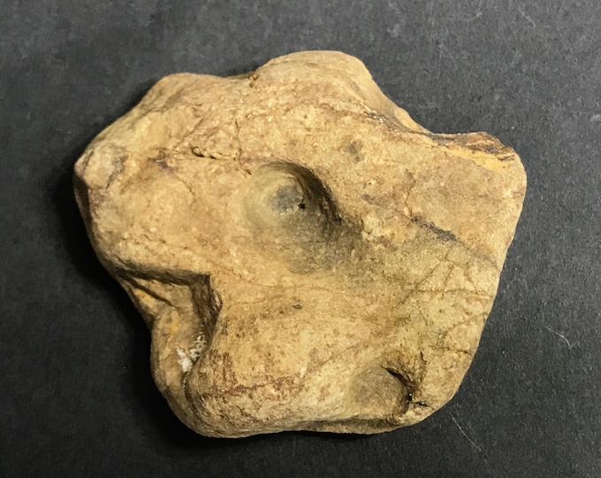 Native American Fire Starter Stone/animal Effigy - Etsy