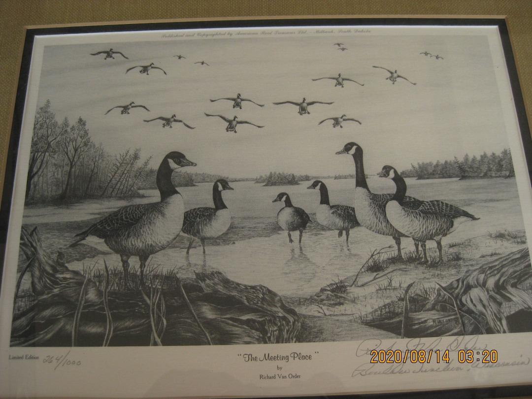 Vintage Richard Van Order Duck Print: Limited Edition Framed Art (15" X ...