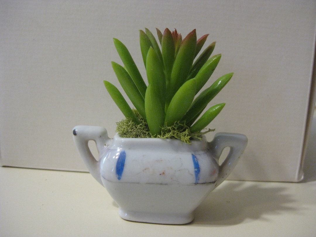 Realistic Soft Flexible Latex Small Succulent in Antique Miniature ...