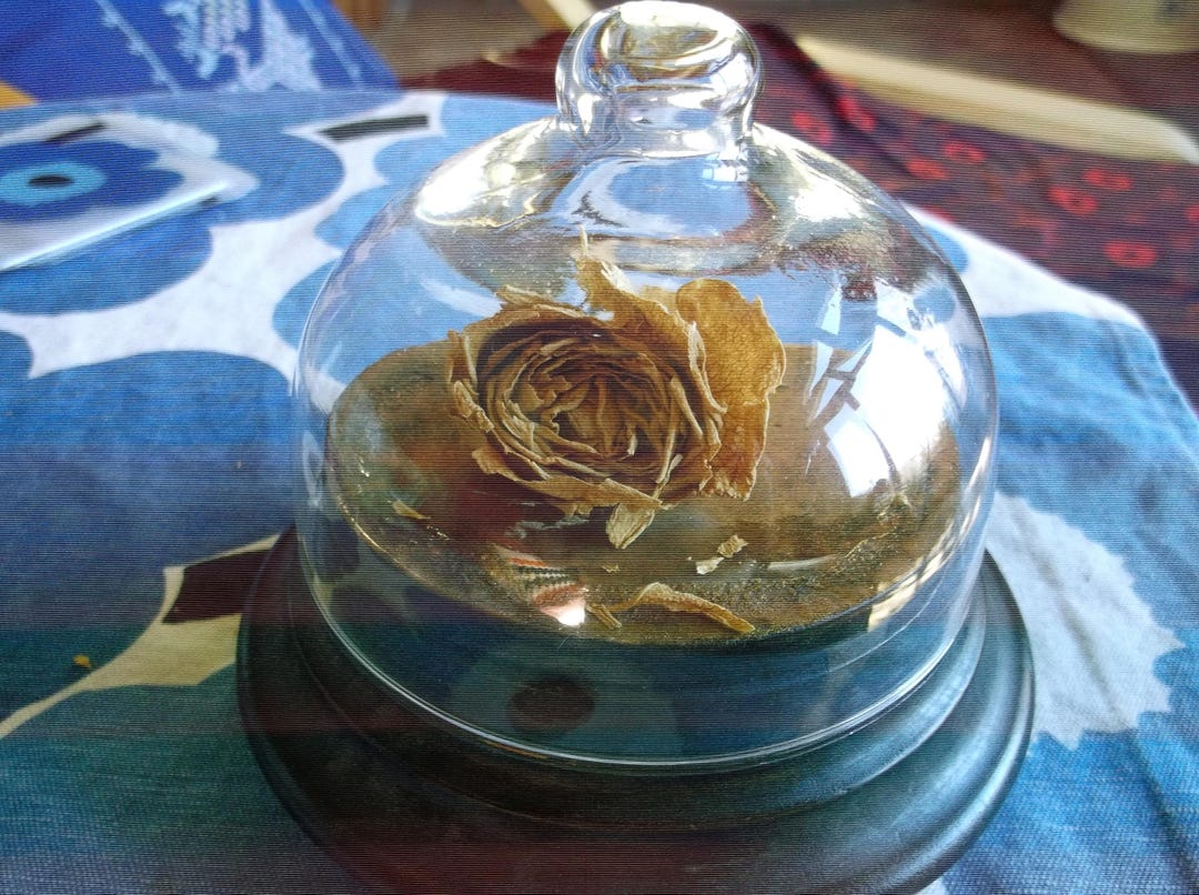 Vintage Wind-up Music Box: Glass Dome Display With Walnut Base. Musical ...