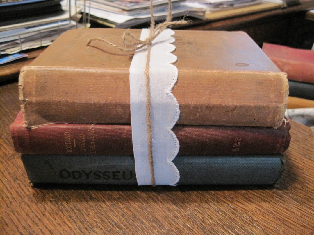 Antique Book Stack: Cabin Color Decor - Classic Literature Bundle ...