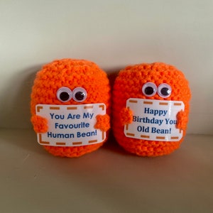 Knitted Baked Bean Buddy Positive Plush Valentines Day Gift Funny ...