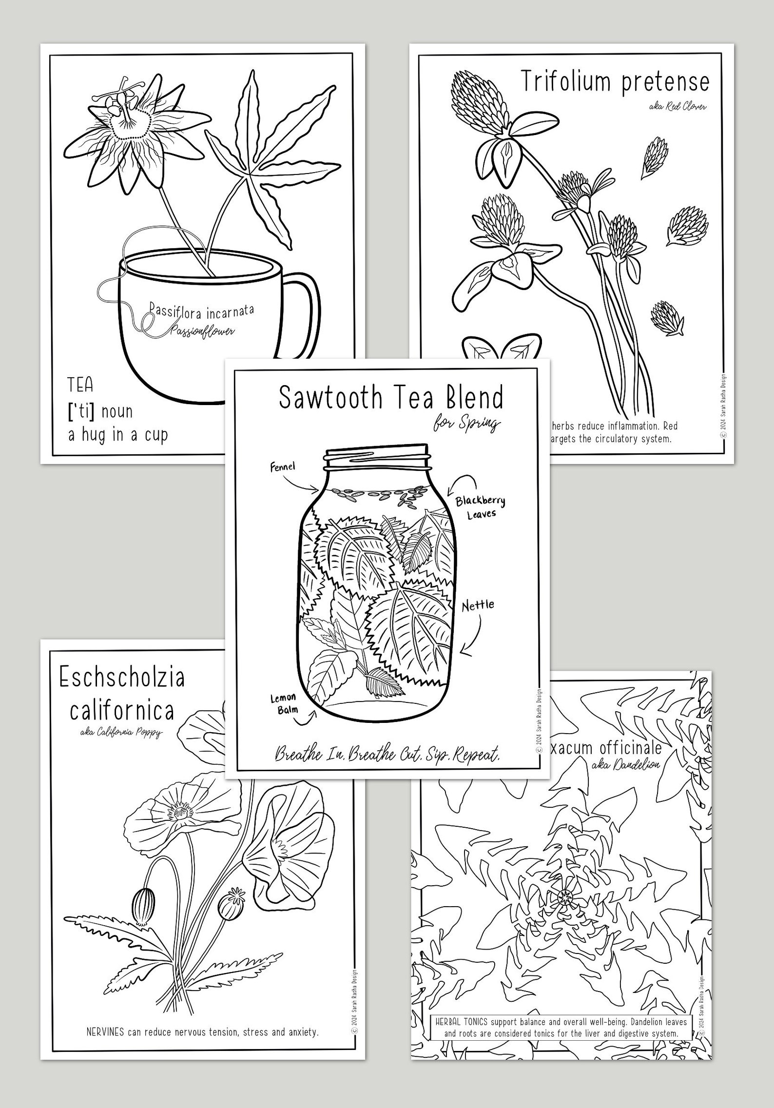Herbal Coloring Pages Digital PDF Download - Etsy