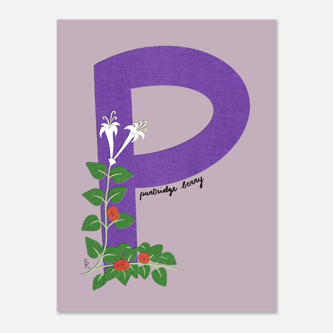 Wildflower Alphabet Wall Art | Letter P Partridge Berry | Classroom or ...