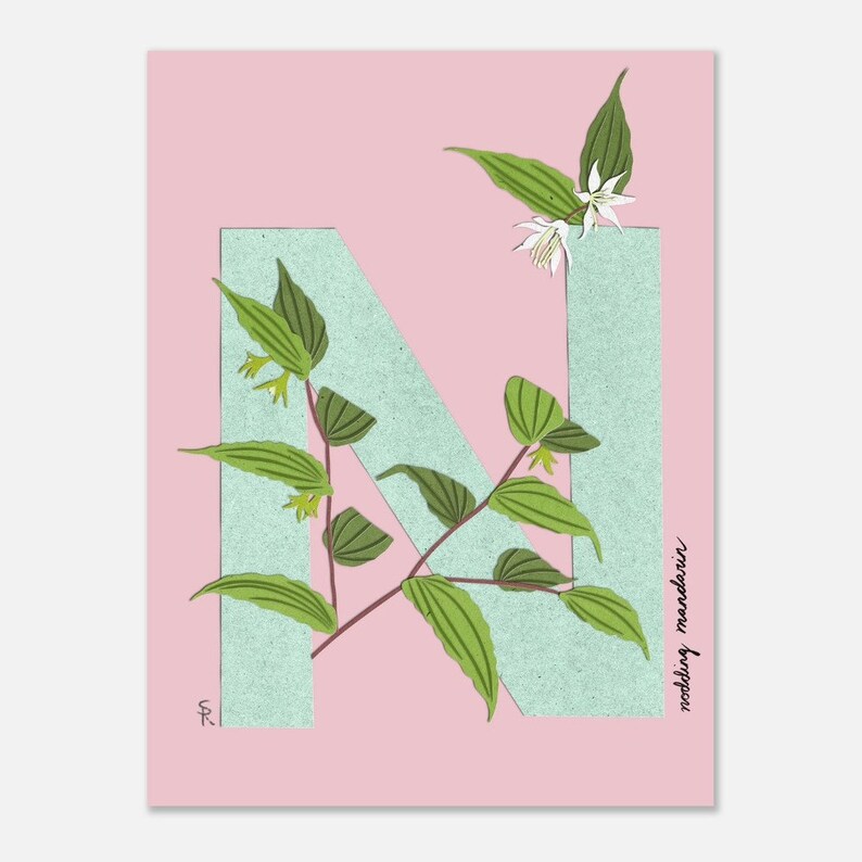 Wildflower Alphabet Wall Art | Letter N Nodding Mandarin | Classroom or ...