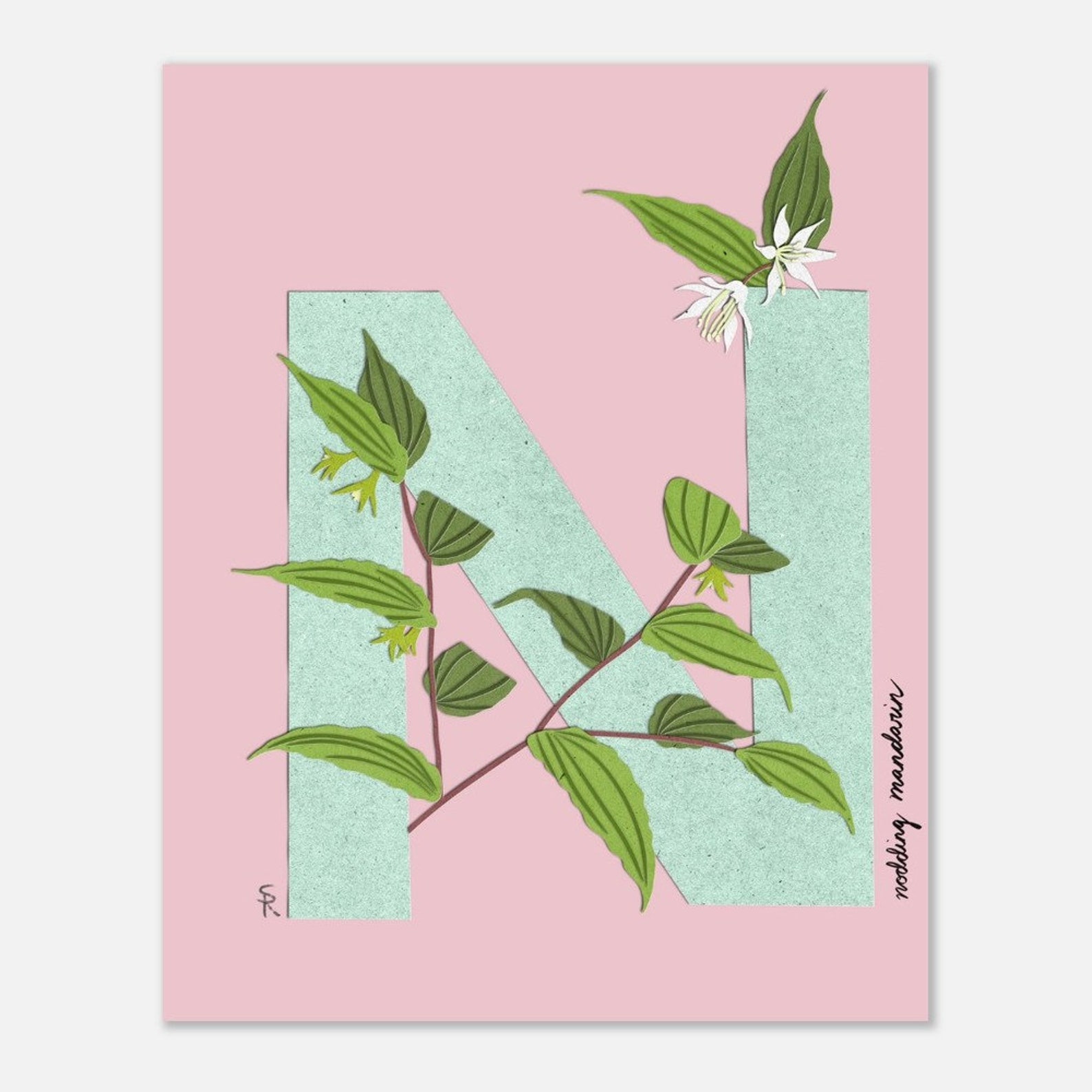 Wildflower Alphabet Wall Art | Letter N Nodding Mandarin | Classroom or ...