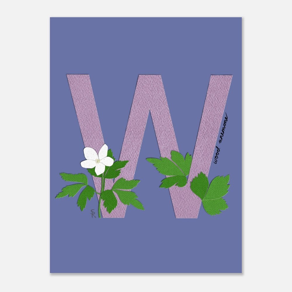 Wildflower Alphabet Wall Art Letter W Wild Anemone Classroom or Kids ...