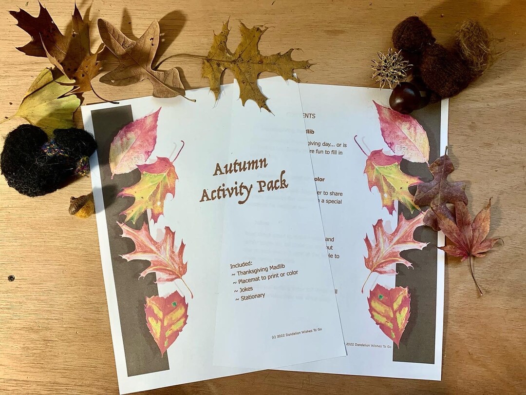 Autumn Activity Pack Printable - Great for Thanksgiving! - Etsy