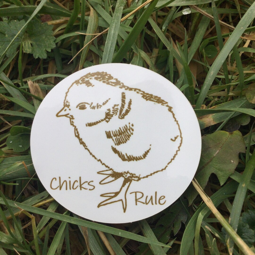 Chicks Rule Vinyl Sticker - Etsy