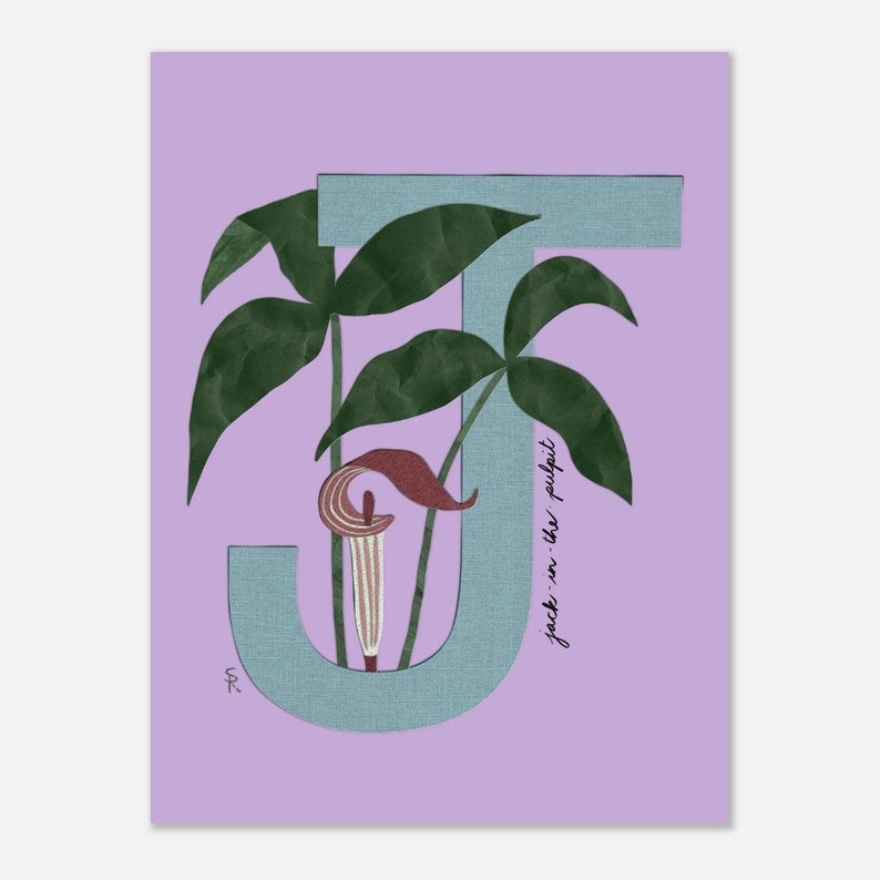 Wildflower Alphabet Wall Art | Letter J Jack in the Pulpit | Classroom ...