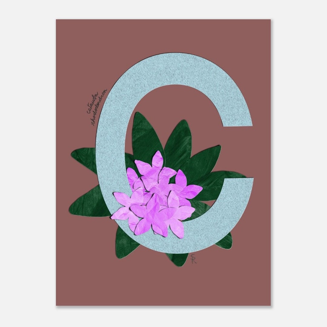 Wildflower Alphabet Wall Art | Letter C Catawba Rhododendron ...