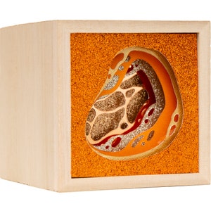 Orange Fall Cell Hand Cut Paper Art Gift for Doctor or Medical Student ...