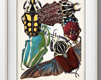 Insects No. 10 1926 Insectes IN-50 Fine Art Print of a | Etsy