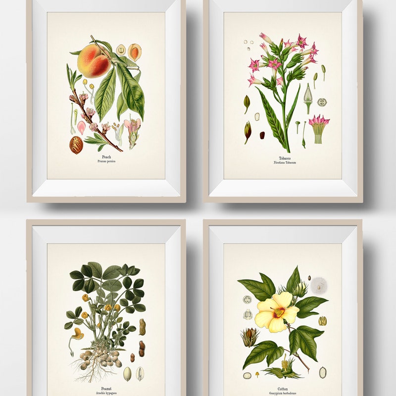 Southern Art - Etsy