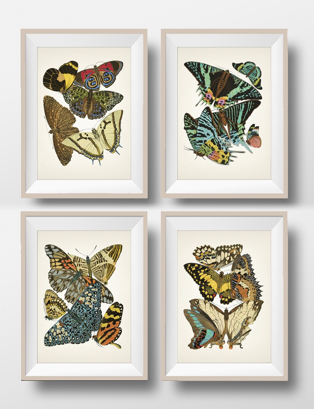 Butterflies SET No. 2 [1925] - Set of Four - Papillons - MO-83-87-89-92 ...