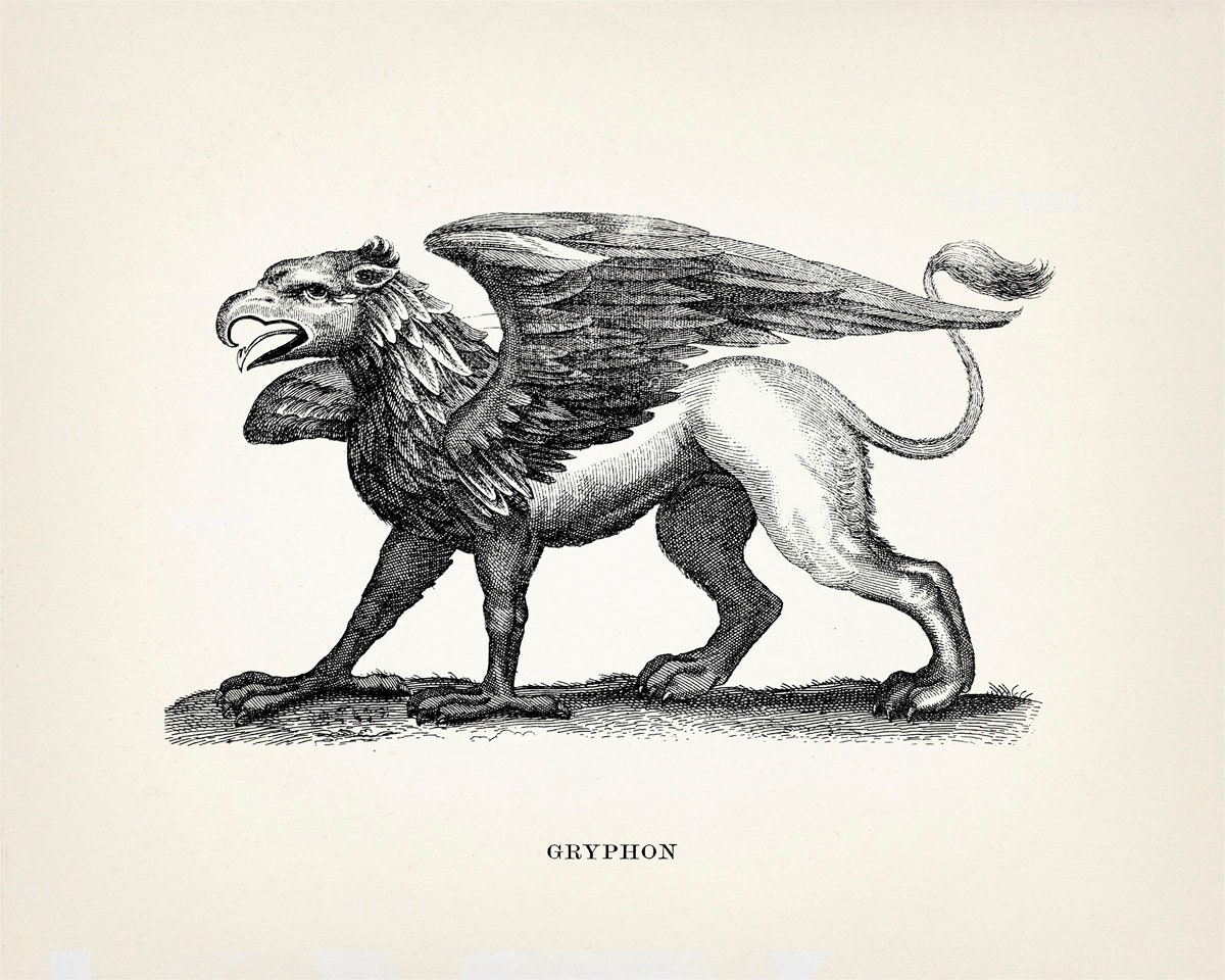 Gryphon : Monster Series OE-31 Fine art print of a vintage | Etsy