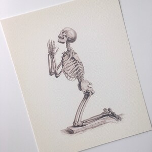 Skeleton Praying Anatomical Drawing - HU-32 - Fine Art Print of a ...