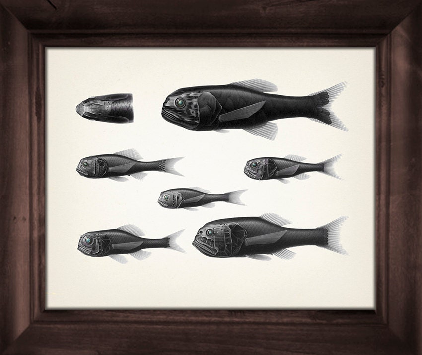 Mechanical Robot Looking Fish Fine Art Print of a Vintage - Etsy